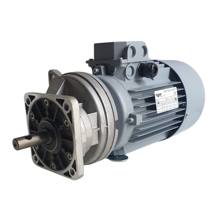Motorreductor trifásico 1,5 CV 300 RPM 230/400 V R-300 50/60 Hz TIGSA