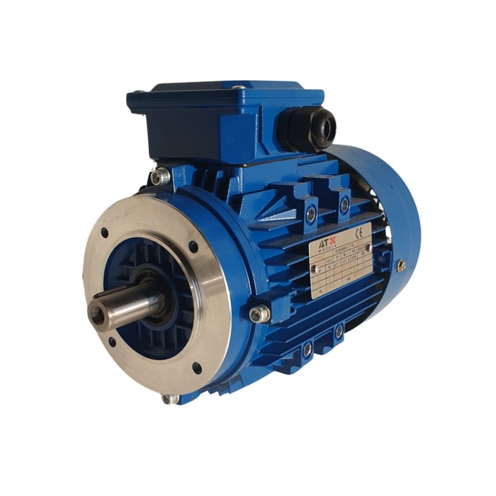 Motor trifásico TEM B3 1 CV – 1430 RPM – Eje Ø19 mm